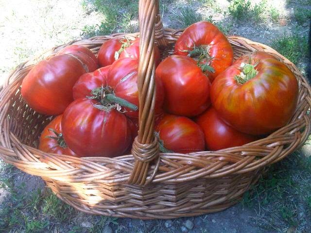 Legume bio livrate acasa – Curatatorie chimica