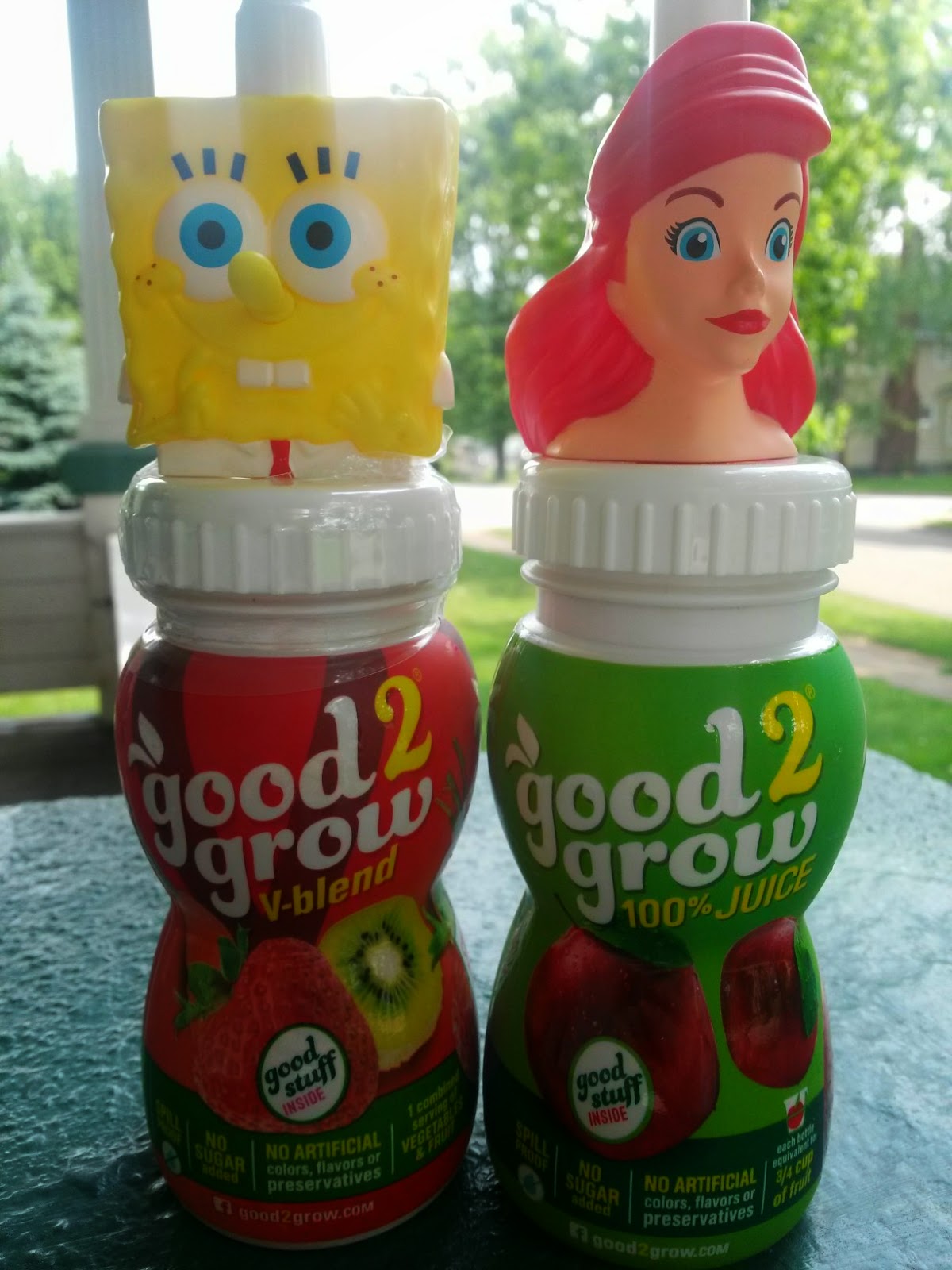 Smith and Blessings: good2grow Juices
