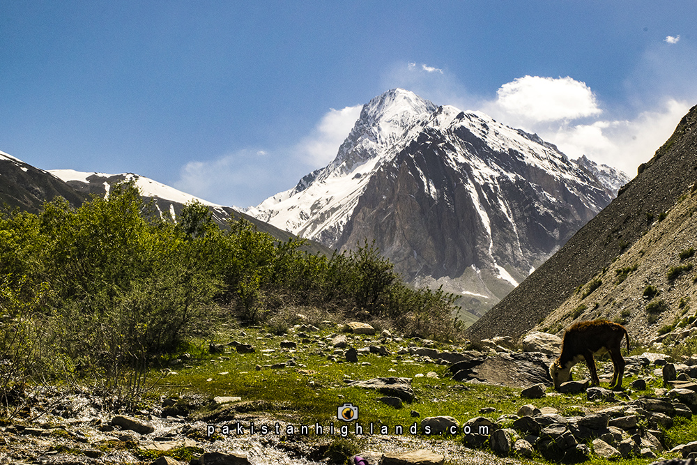 Tirich Mir Tirich Mir (Khowar/Pashto/Urdu: ترچ میر‬‎) (alternatively ...