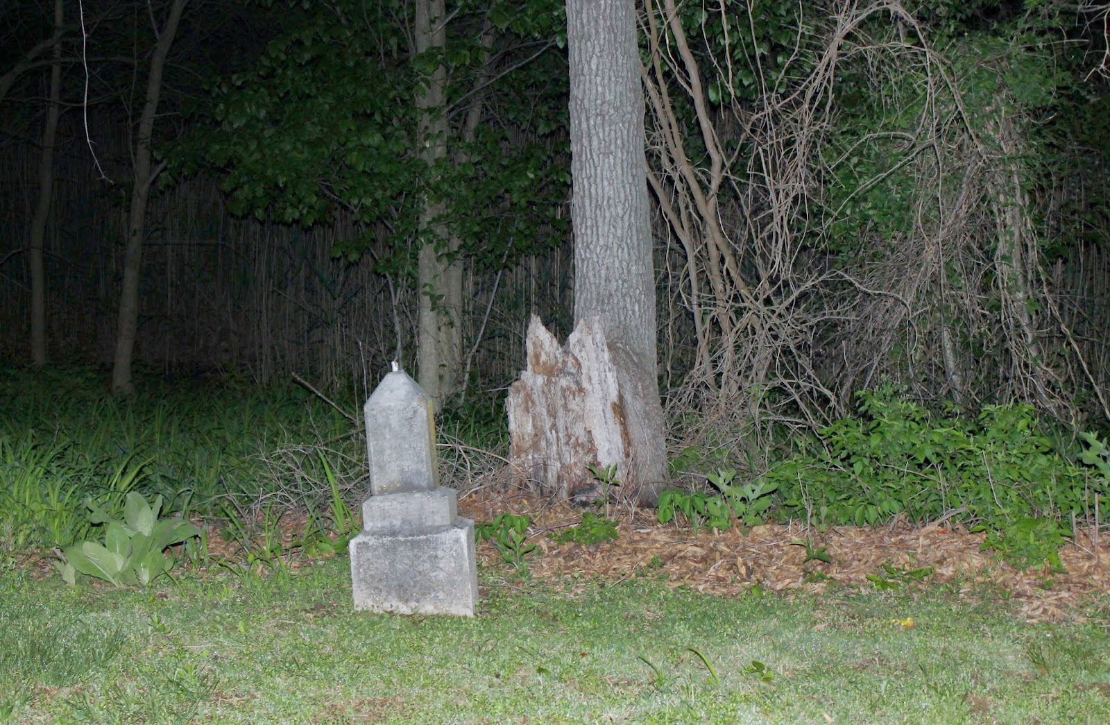 The Southern Illinois Graveyard Girls: 2014