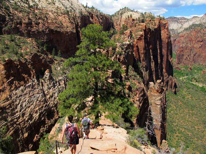 Angel's Landing Hike. Zion National Park ~ Adventures in Southern ...