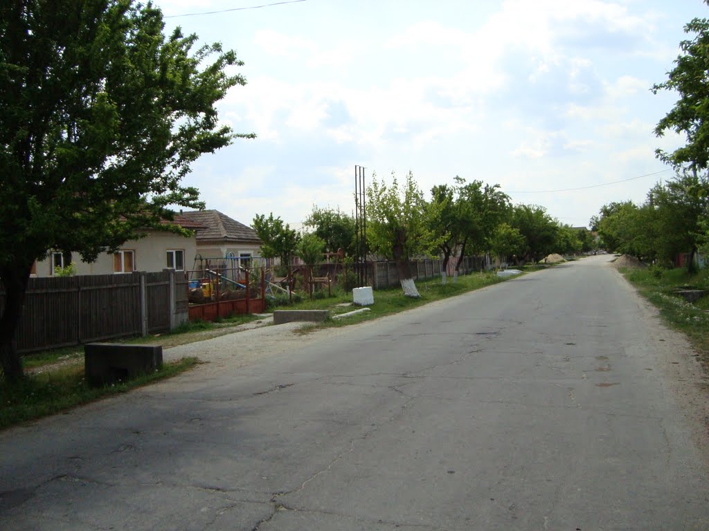 Popa Marius Claudiu - Fotografii: Poze Comuna Falcoiu - Judetul Olt