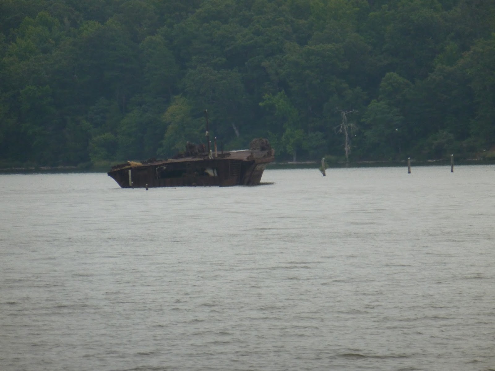 LAZY W: August 1 thru August 11