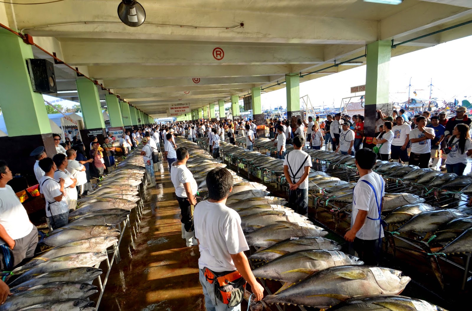 I Love General Santos City, Philippines!: Tuna Festival’s largest fish ...