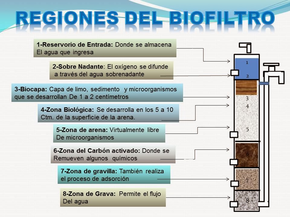 MAS AGUA MAS VIDA: BIOFILTROS Y ECO-PTAR