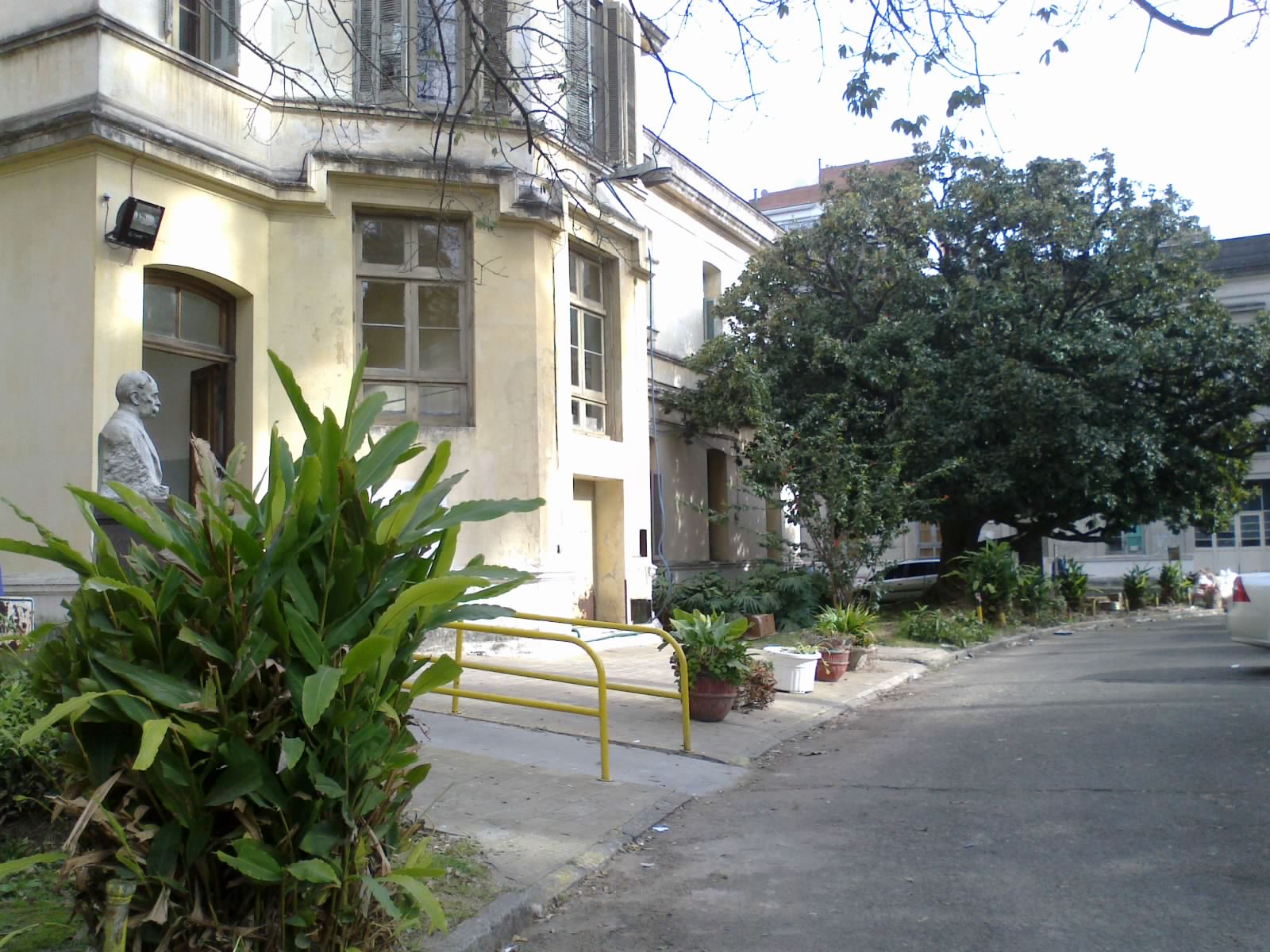 Hospital Rivadavia - Nido de caranchos