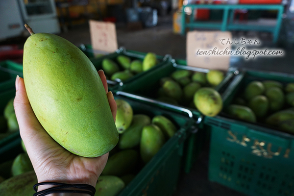 302: Sekinchan - One Day Leisure + Food Trip ~ TenshiChn