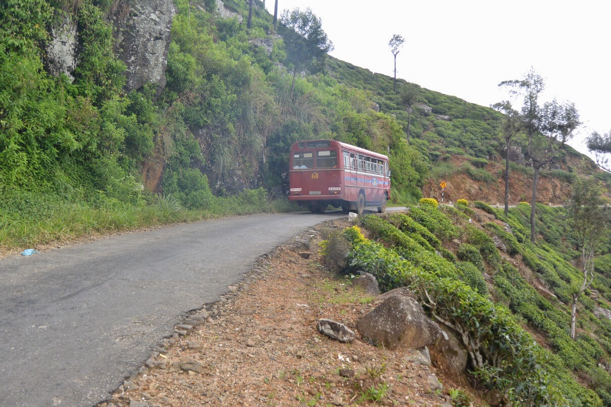 La fabrique et les plantations de thé de Haputale, Sri-Lanka - Tortues ...