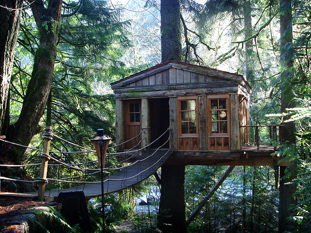 Home Styles: Tree houses style & design