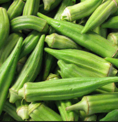 Exportan molondrones desde Lago Enriquillo a EE.UU. pronto van para ...