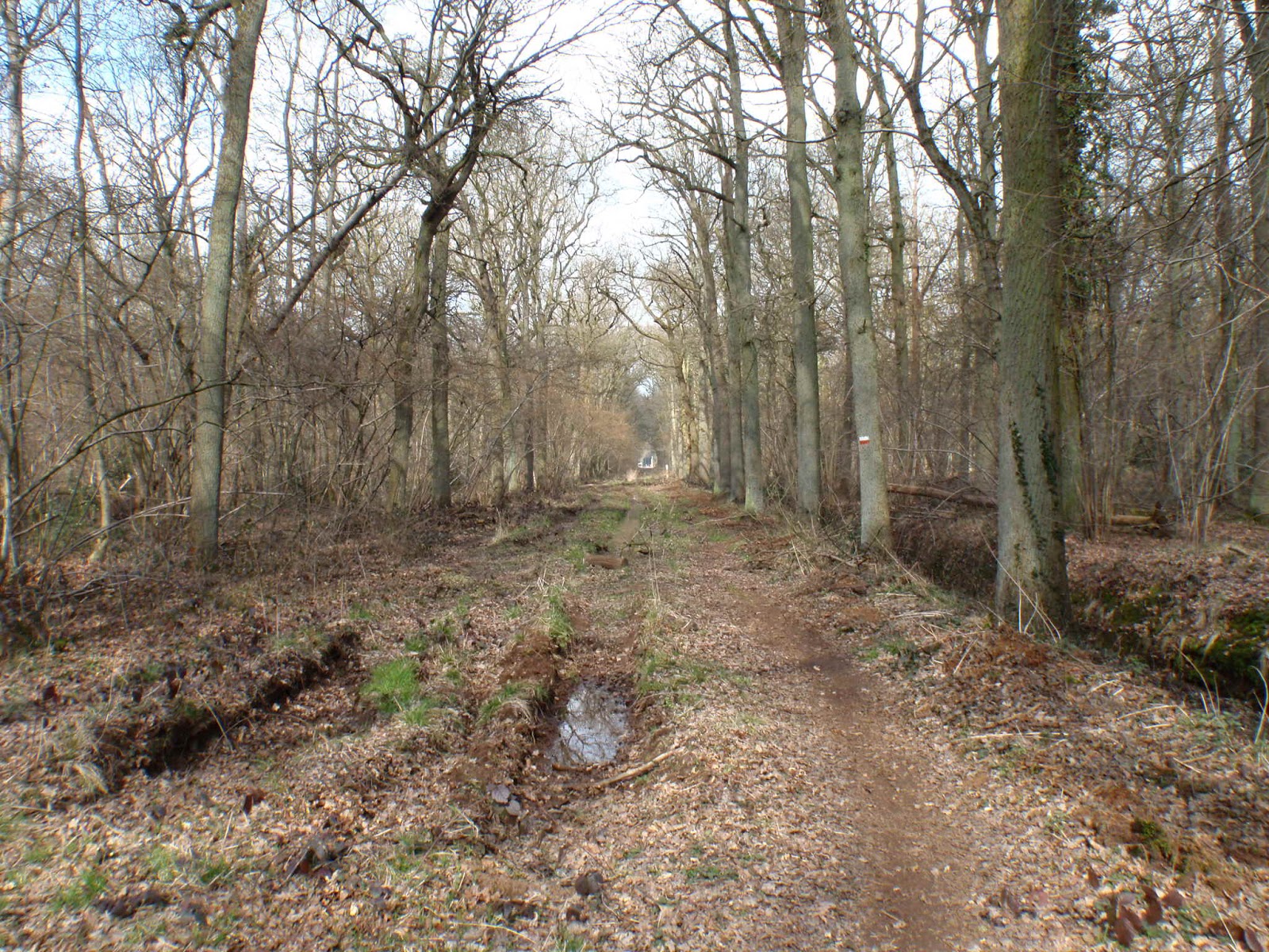 Walking Jeff: Wandeling Zoersel 22/03/2016