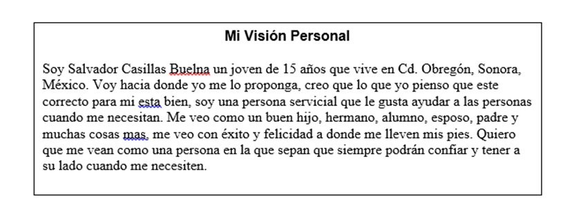 SalvadorCasillasBuelna: Mision y Vision personal