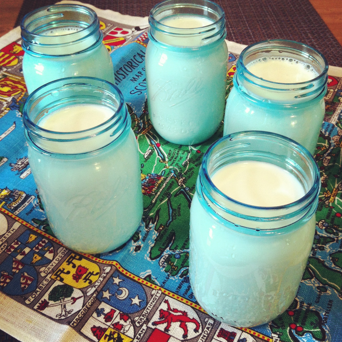 Cultural Cooking: Farmer's Cheese Recipe (Tvorog)