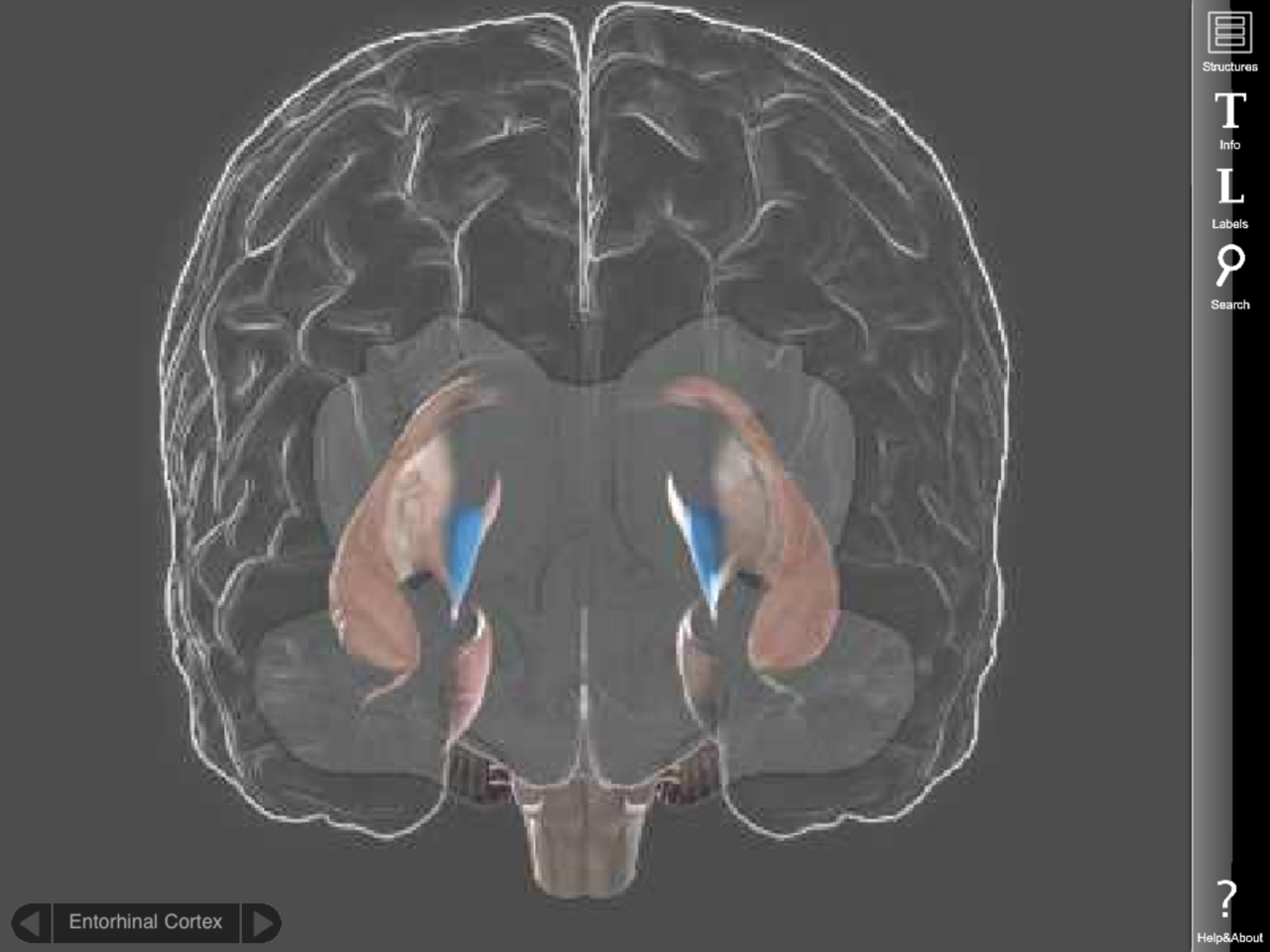 agoraehseu: January 2013