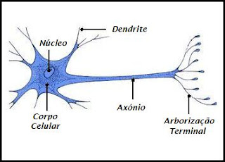 Psicologia para todos : Neurónio