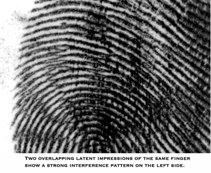 Fingerprint Individualization | ACE-V | Scientific Method: Pattern ...
