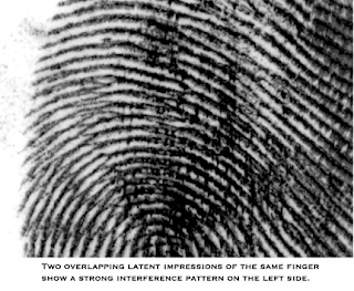 Fingerprint Individualization | ACE-V | Scientific Method: Pattern ...
