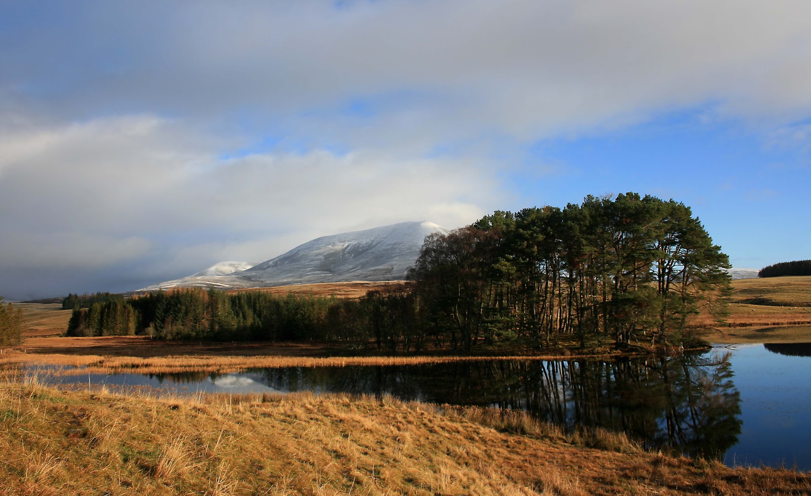Atholl Estates Ranger Service: Fair-Weather Fowl