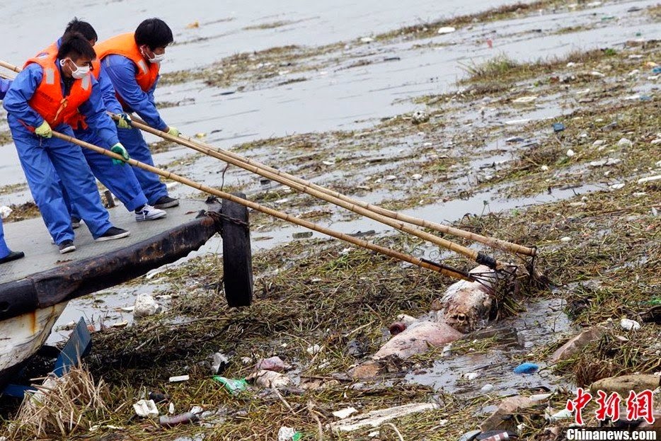 IB Economics (and, not only): China: extent of pollution and policies ...