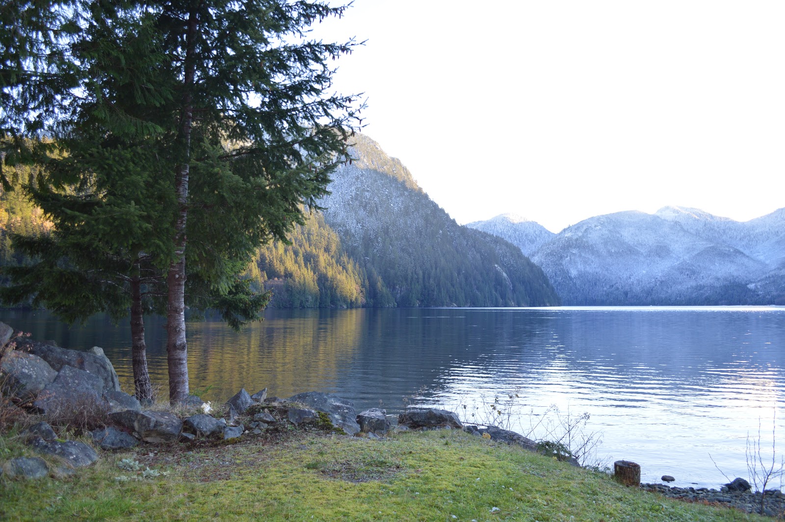 BC Oceanfront: BCO Coastal Gems: Zeballos