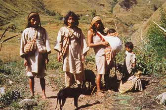 Our ever-present past