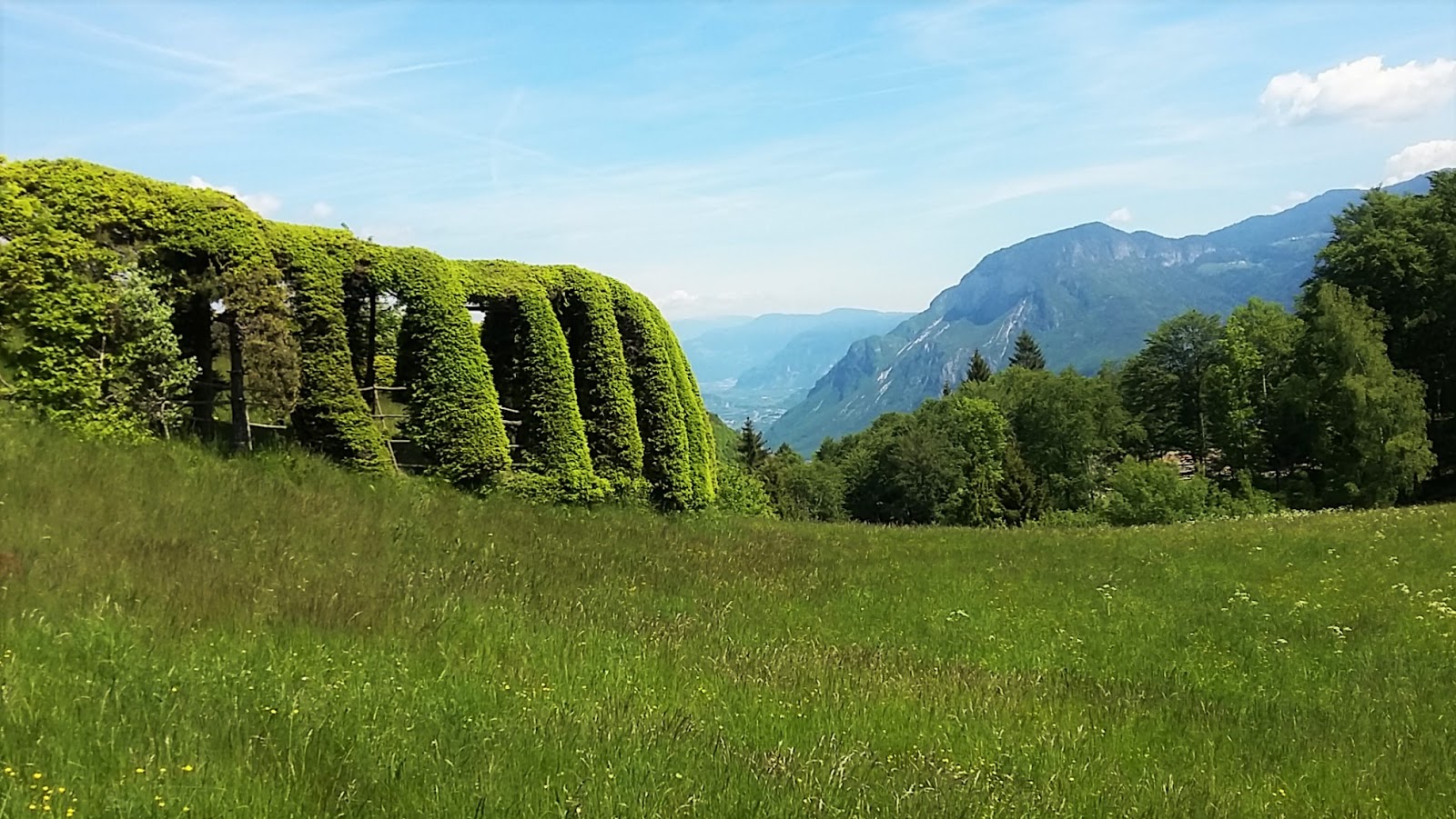 Val di Cembra: Trekking tra i vigneti - Emotion Recollected in Tranquillity