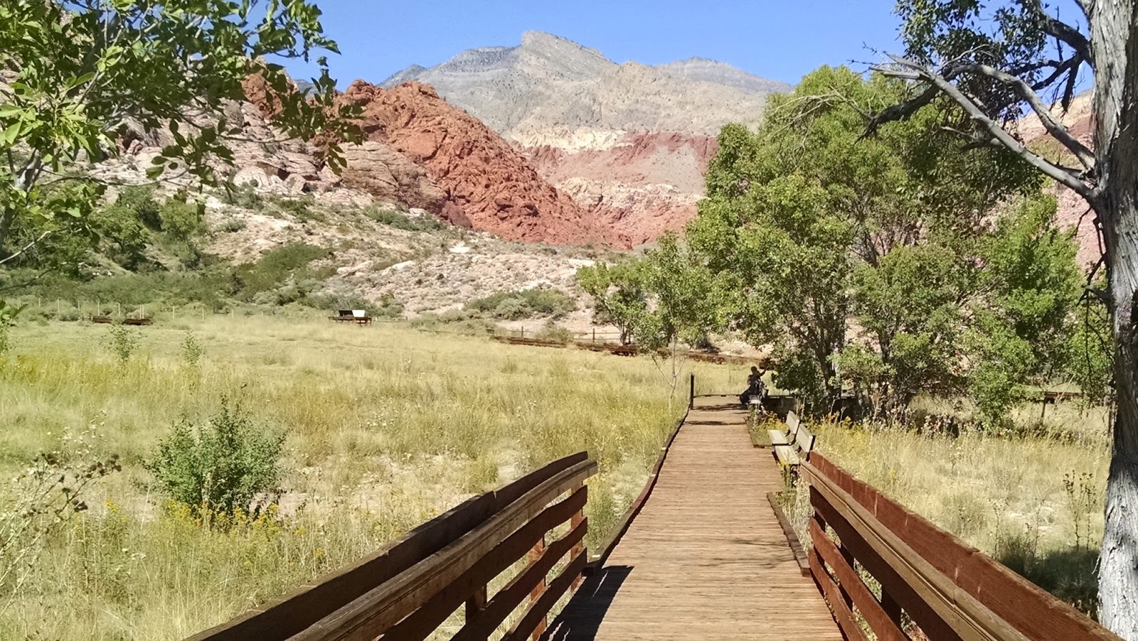 Calico basin - bastakey