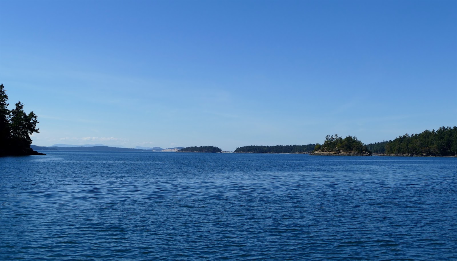 NORTH TO WHERE?: BACK TO THE USA - SHAW ISLAND