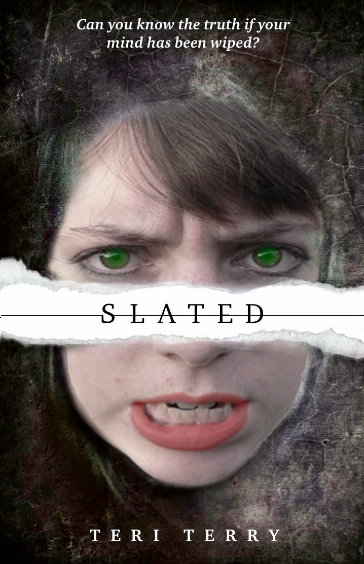 demention: Slated Book Bloggers! Be afraid, be very afraid...