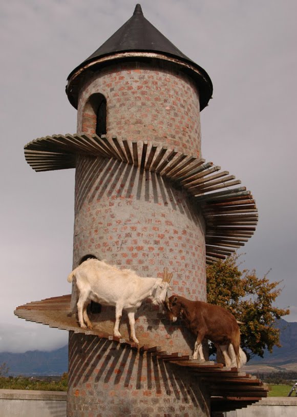 VERY FUNNY: Goat tower