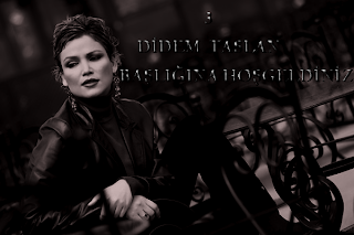 Turske Serije: Didem Taslan