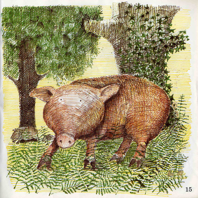 The Art of Children's Picture Books: Mr. Gumpy's Outing, John Burningham