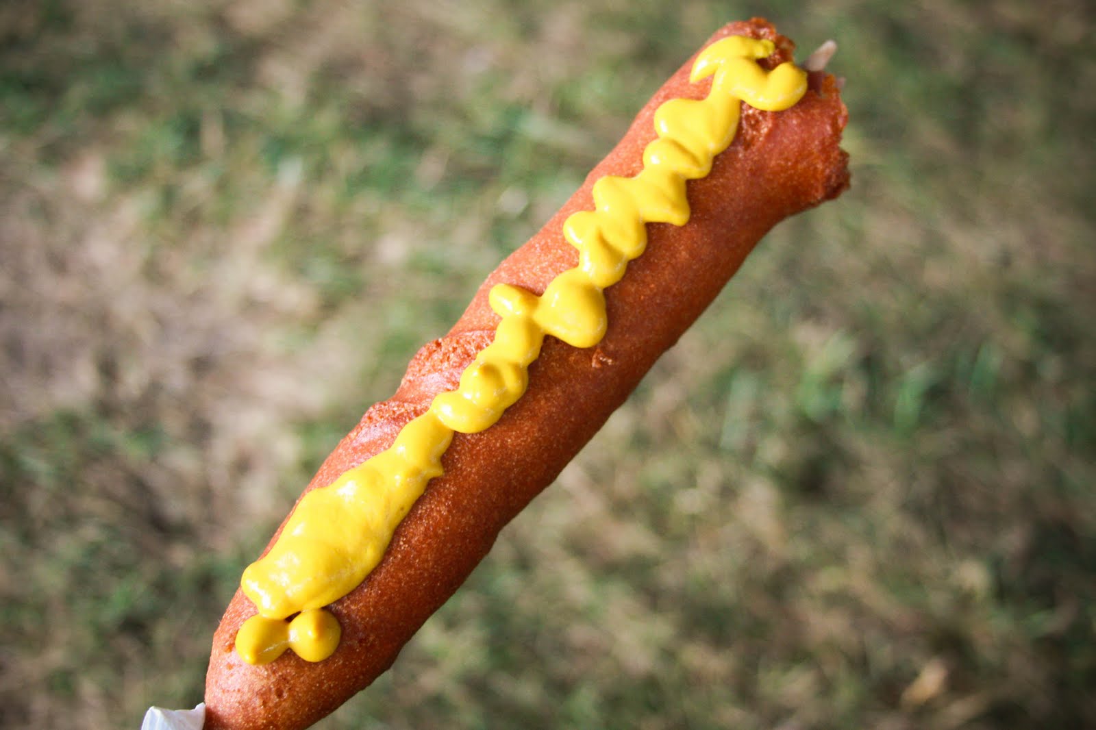 Brooke's Insights: What the fair means to me