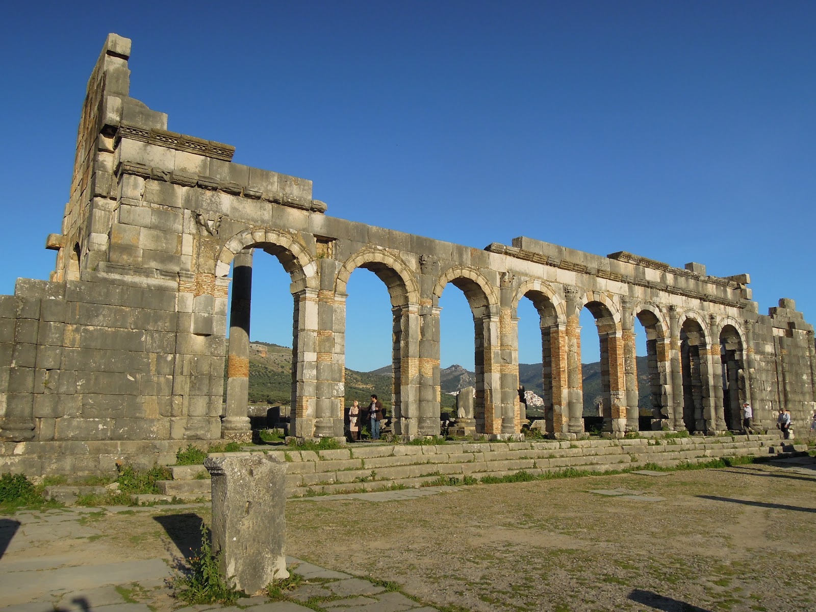 Blog Pascal: Volubilis
