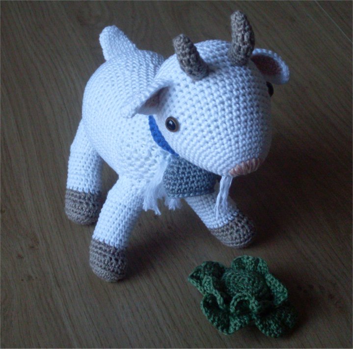 Haak Maar Aan: govert de geit