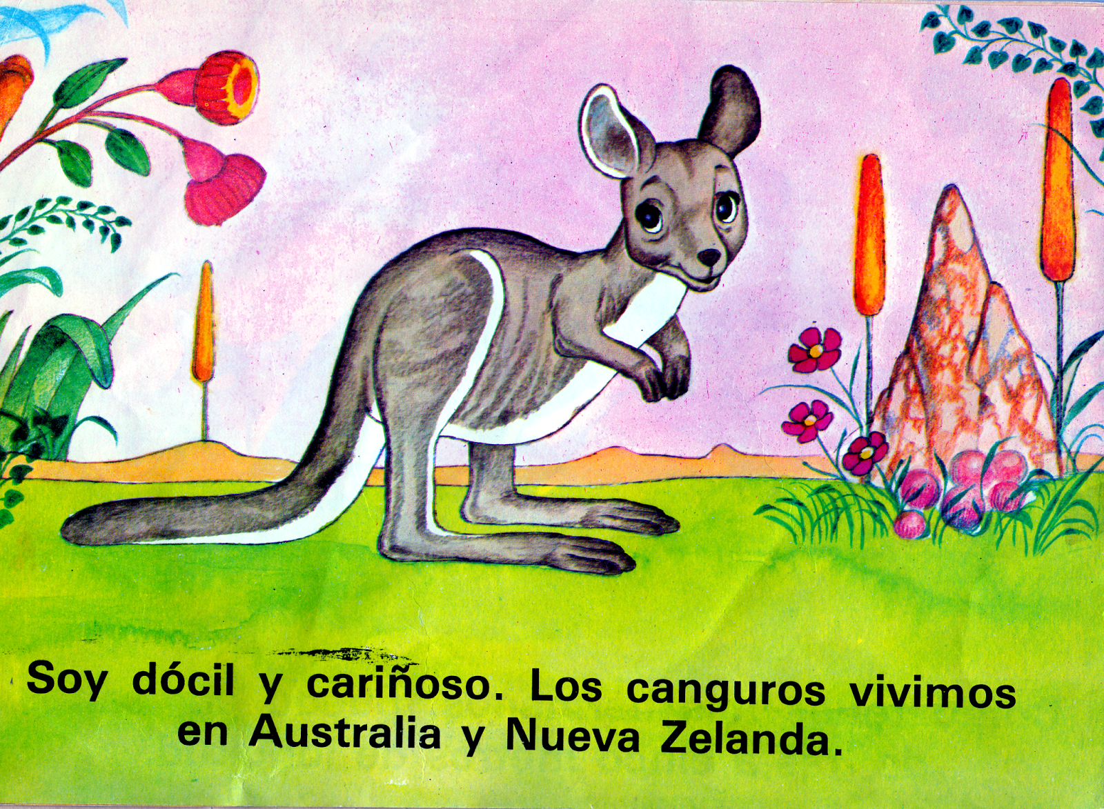 Escuela infantil castillo de Blanca: CUENTO: EL CANGURO