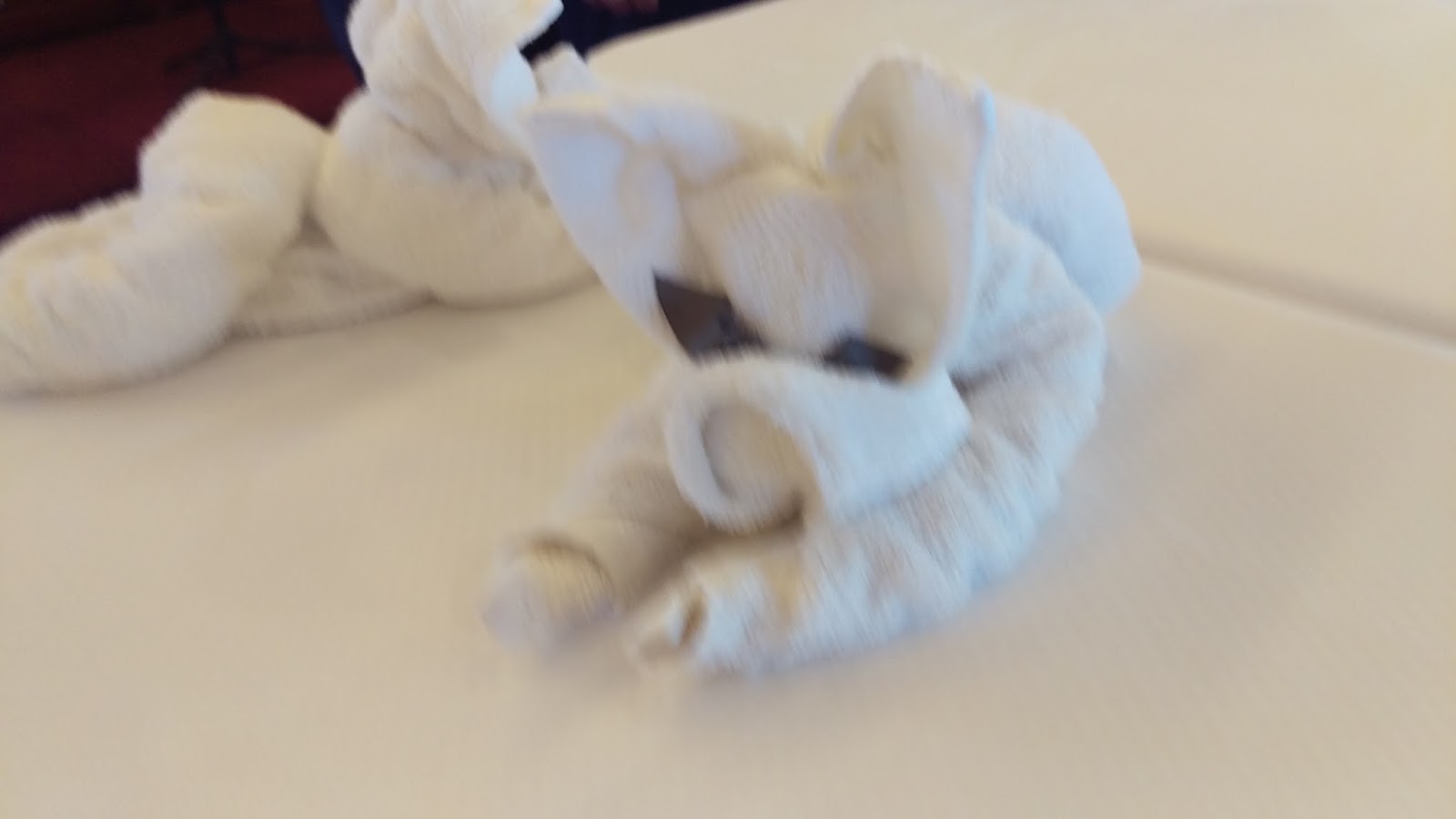 Gypsy Woman: Windstar Cruise