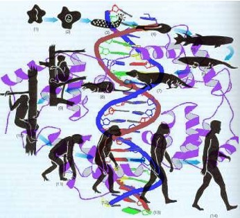EL APRENDIZAJE: Aspectos biológicos que influyen en el aprendizaje