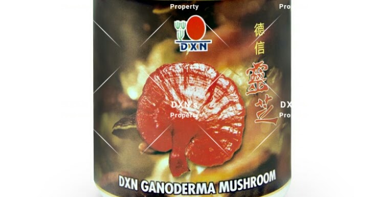 DXN GANODERMA MUSHROOM ~ dxn2mlm