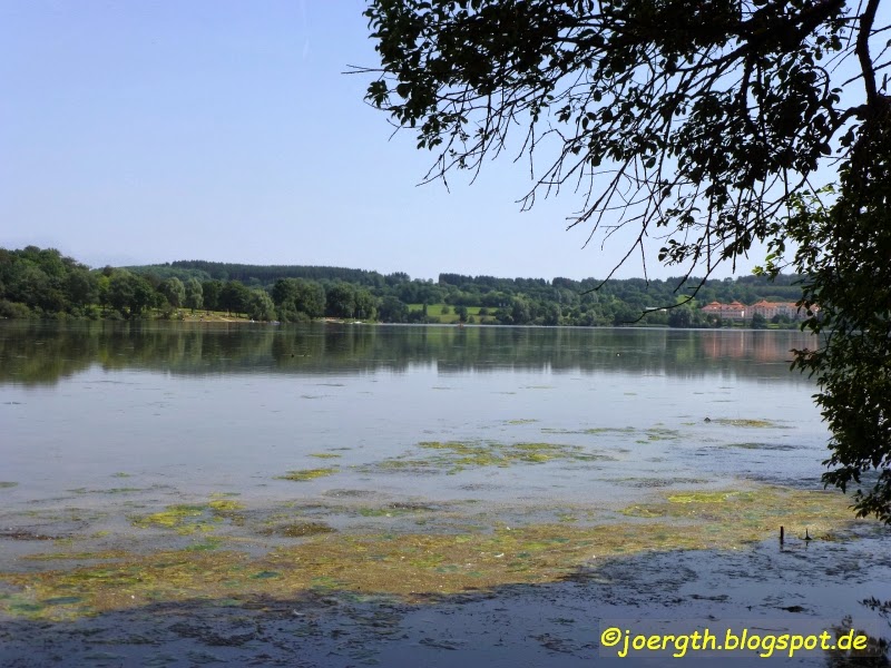 GEWUM! Geocaching, Wandern und mehr...: Cacherparadies Wiesensee