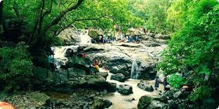 travel vlog: Tungareshwar: Waterfalls, Temple, National Park & Trekking ...