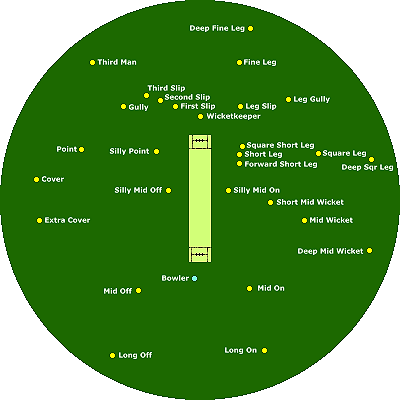 The Shipwrecks' Blog: Fielding Positions