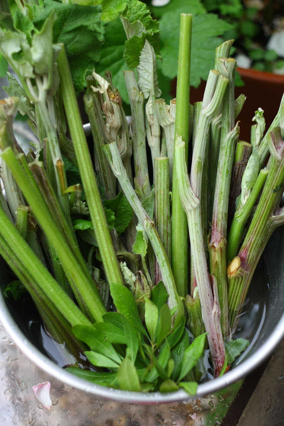 66 Square Feet (The Food): Braised burdock with aromatics