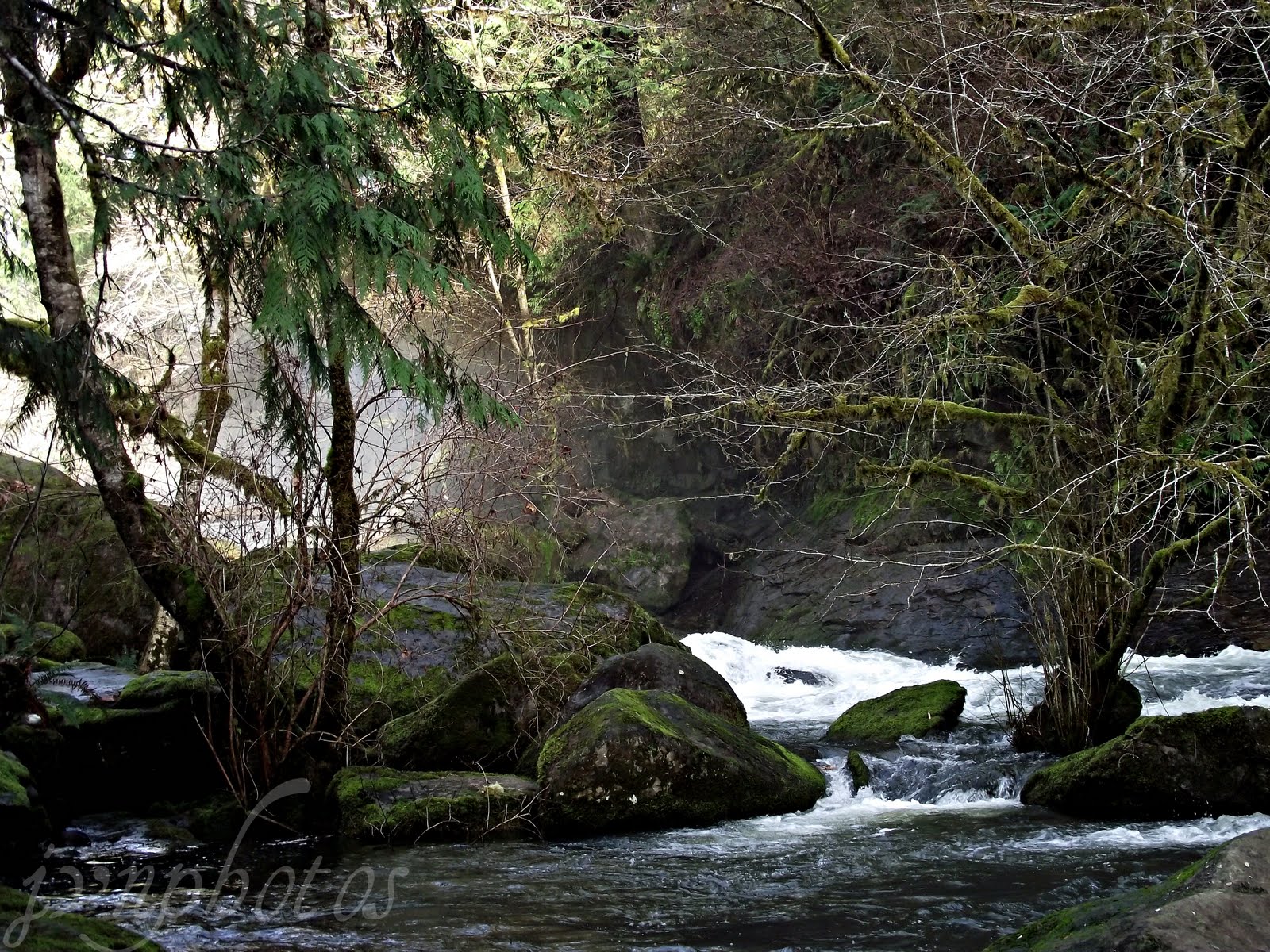 Photos by Jan: Triangle Lake, Oregon and Further Adventures