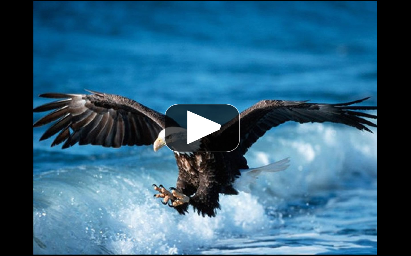 Quiero volar contigo- Quiero volar muy alto (Este vídeo nos emotiva a ...