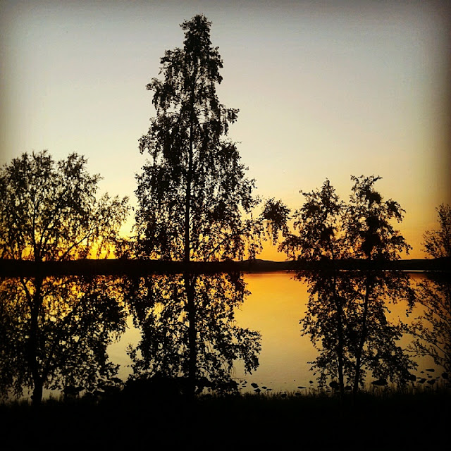 MicroCosmos: insta Finland