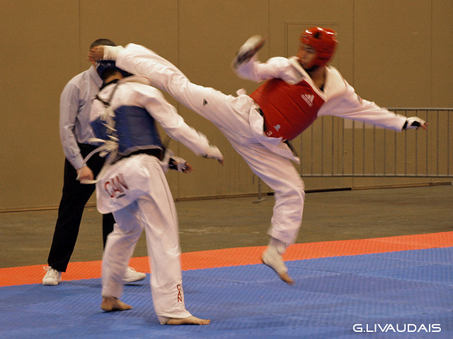 The life of a martial artist: An introduction to Taekwondo
