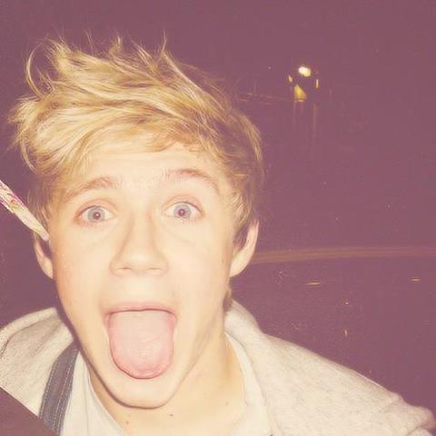 one direction': Niall James Horan Gallagher Biografia