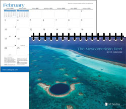 Free Water and Reef 2013 Calendar - HEAVENLY STEALS
