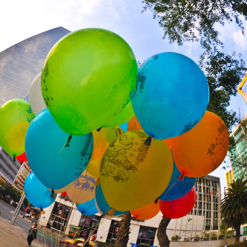 Adam Zoller Duplán: Fisheye